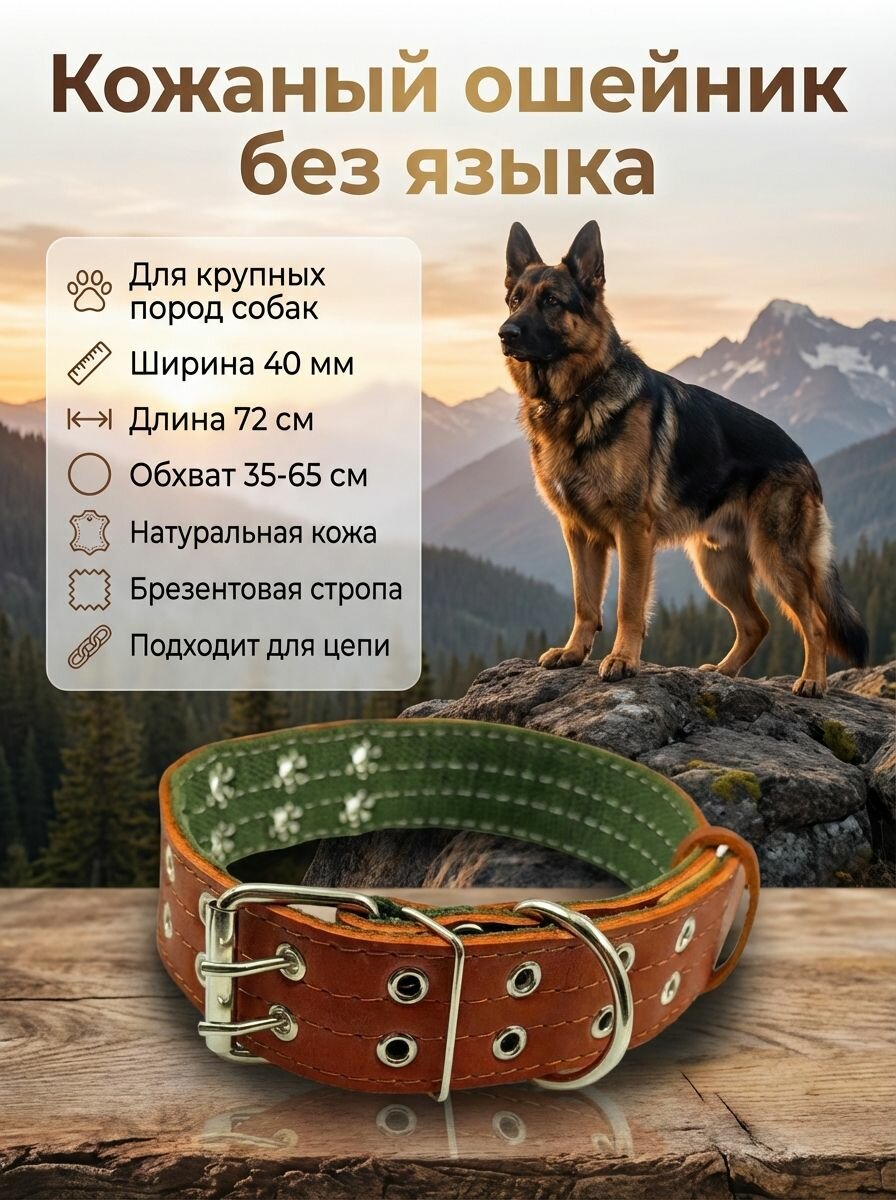 Кожаный ошейник для собак средних и крупных пород