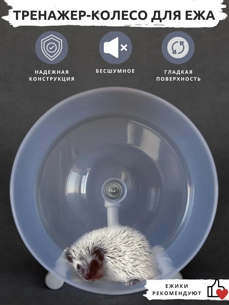 Беговое колесо для животных