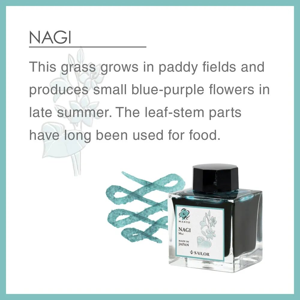 Чернила Sailor Manyo Nagi 50 мл. Зеленый с серым подтоном для каллиграфии и письма