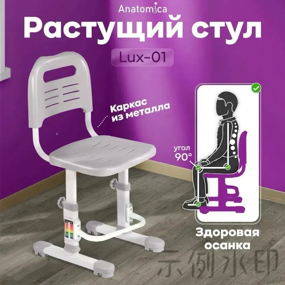 Детский стул Anatomica для дома/дачи/школы 39х42х81см серый, металл