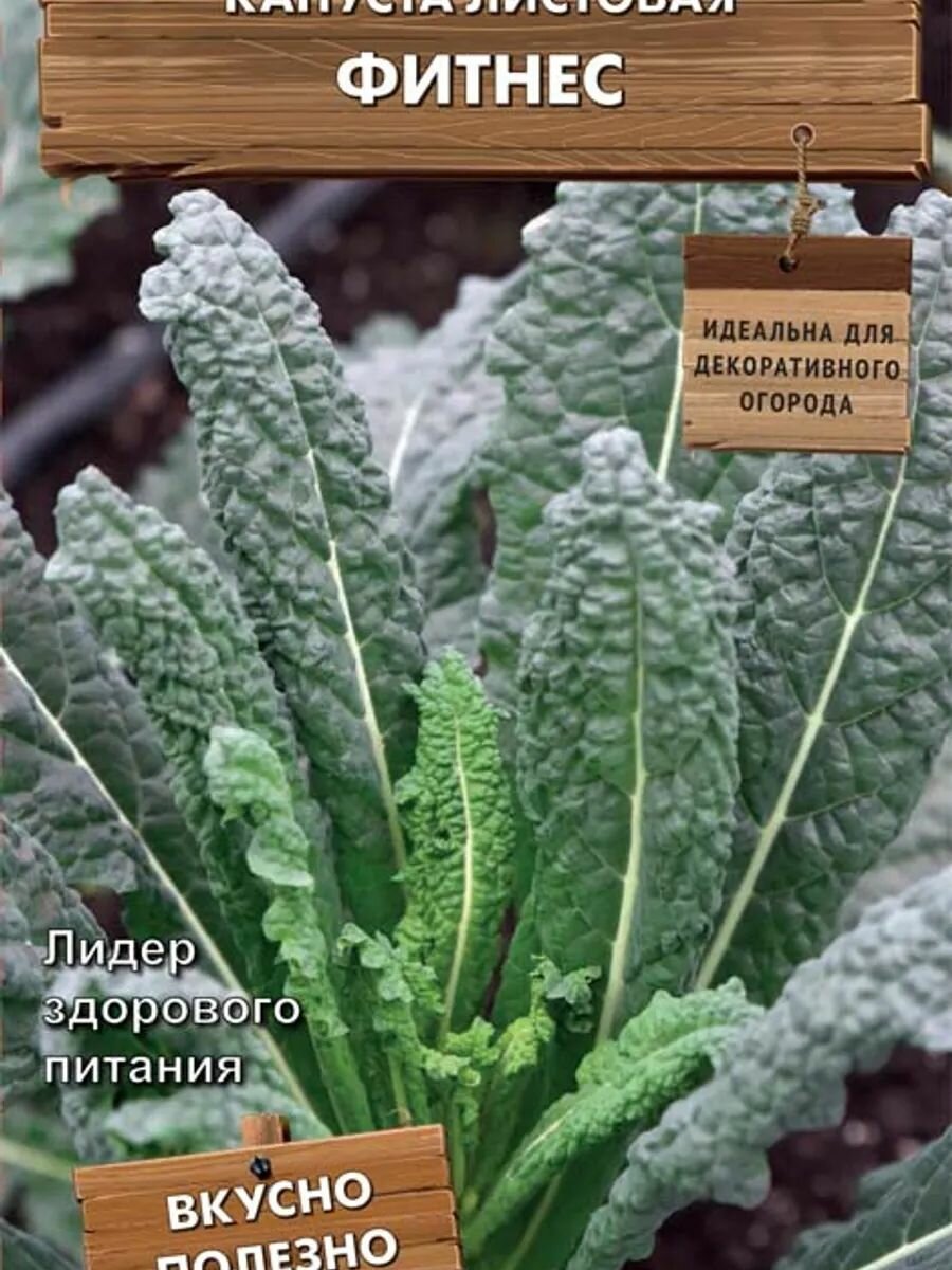 Листовая капуста Фитнес 0,1 г, Семена Поиск