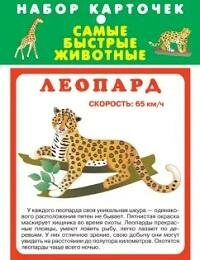 Самые быстрые животные : набор карточек