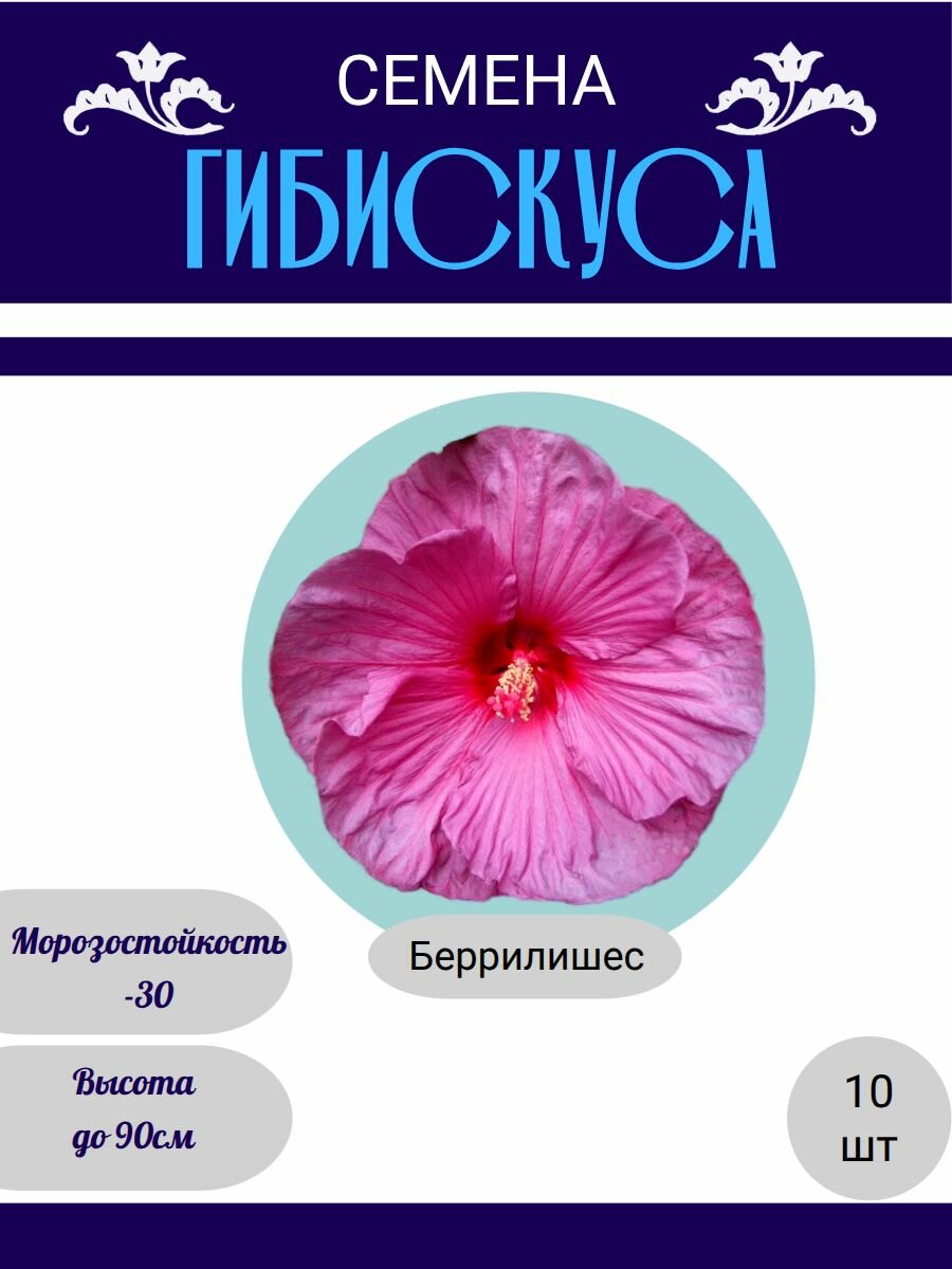 Гибискус Беррилишес (Семена)10шт.