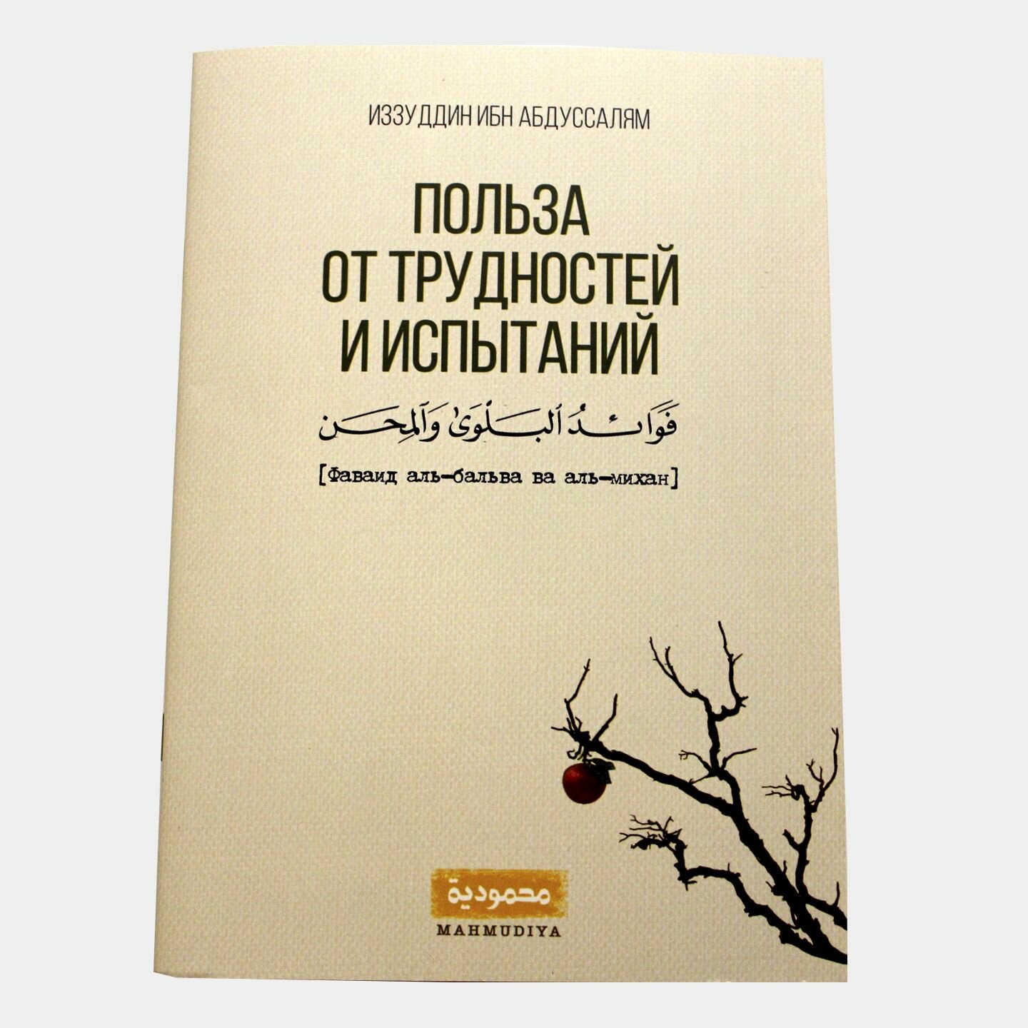 Польза от трудностей и испытаний. Простые благодеяния. 40 хадисов Имама Навави. Зачем следовать мазхабу. Книги по исламу. Махмудийя