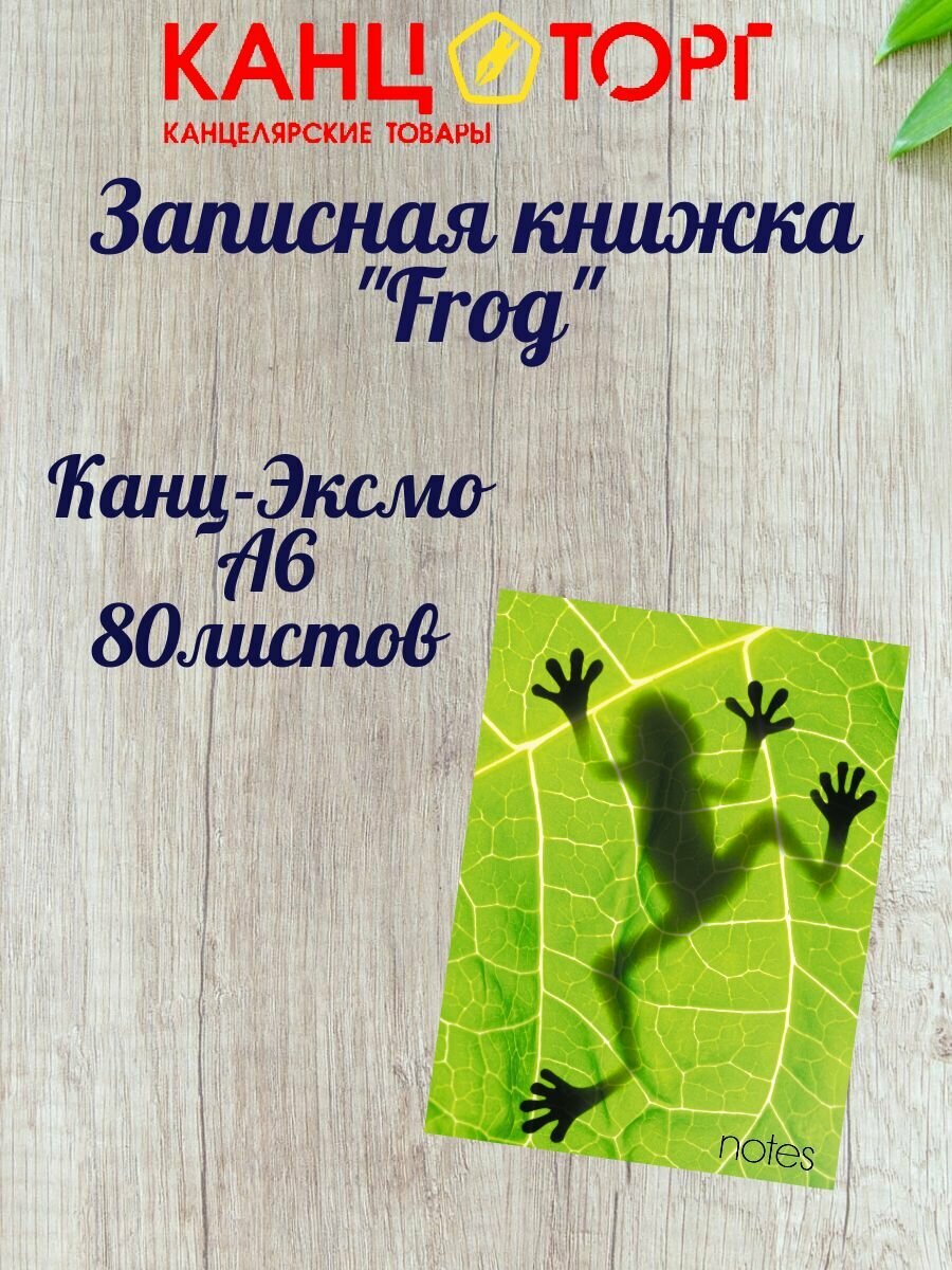 Записная книжка А6 80л. "Frog" Канц-Эксмо КЗ6803742