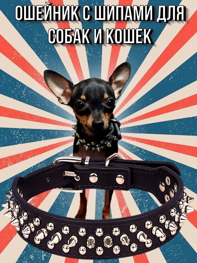 Ошейник кожаный с шипами черный XXS для собак и кошек, стильный аксессуар для прогулок