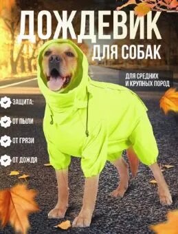 Дождевик для собак средних и крупных пород, яркий, непромокаемый комбинезон, 3XL