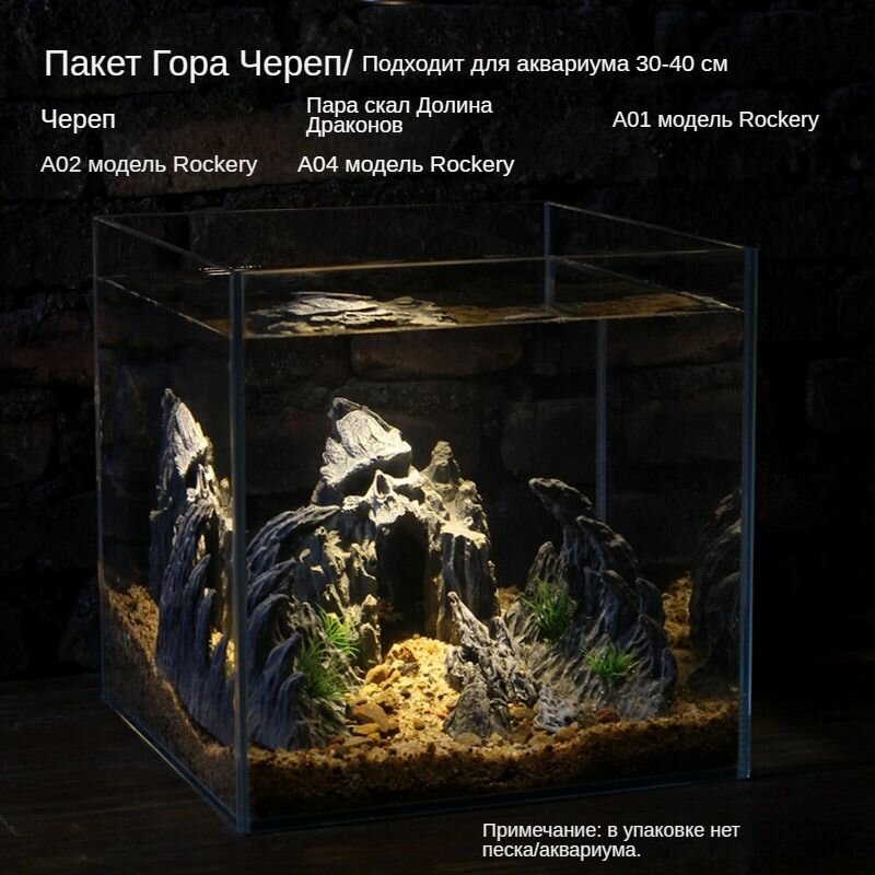 Человеческий скелет рокарии