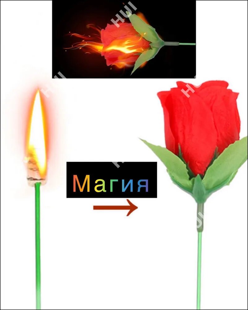 Фокус с розой. Реквизит для фокусов, трюков. Прикол, розыгрыш, подарок