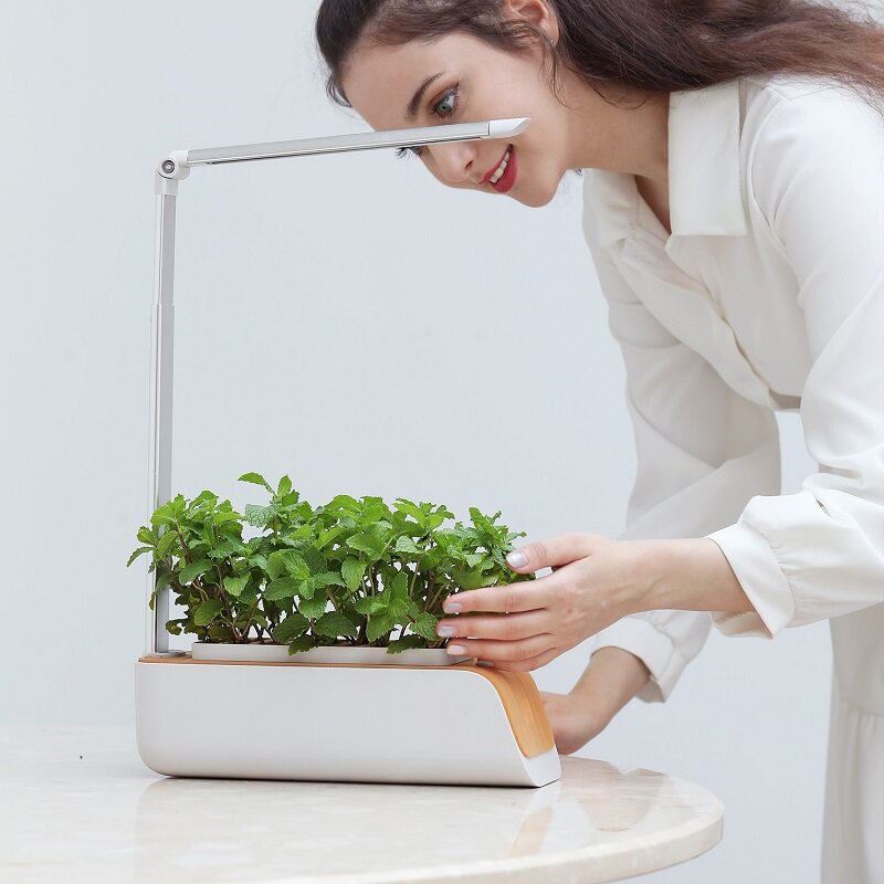 Умный сад с интеллектуальной системой освещения, для выращивания зелени