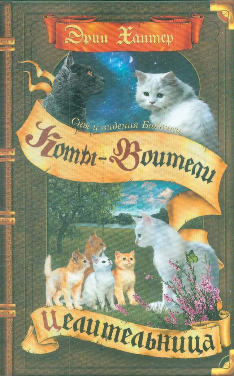Сны и видения Бабочки. Целительница (Хантер)