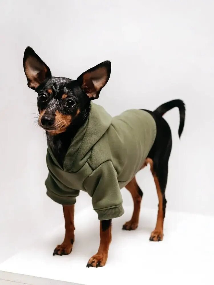 Толстовка для собак и кошек Friendly DOG, на флисе, хаки, размер S