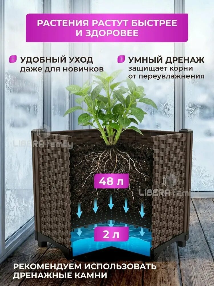 Грядка — фото 1