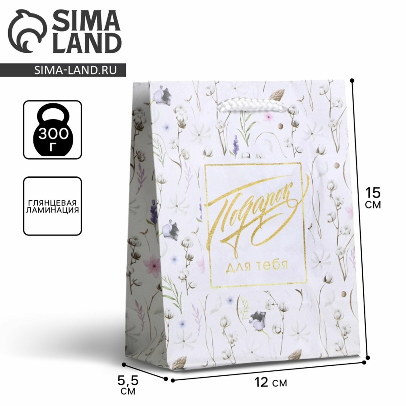 Пакет подарочный ламинированный, упаковка, Gift for you, S 12 x 15 x 5.5 см, 3 шт.