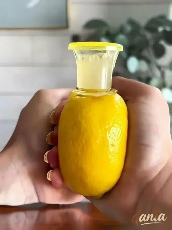 Ручная соковыжималка