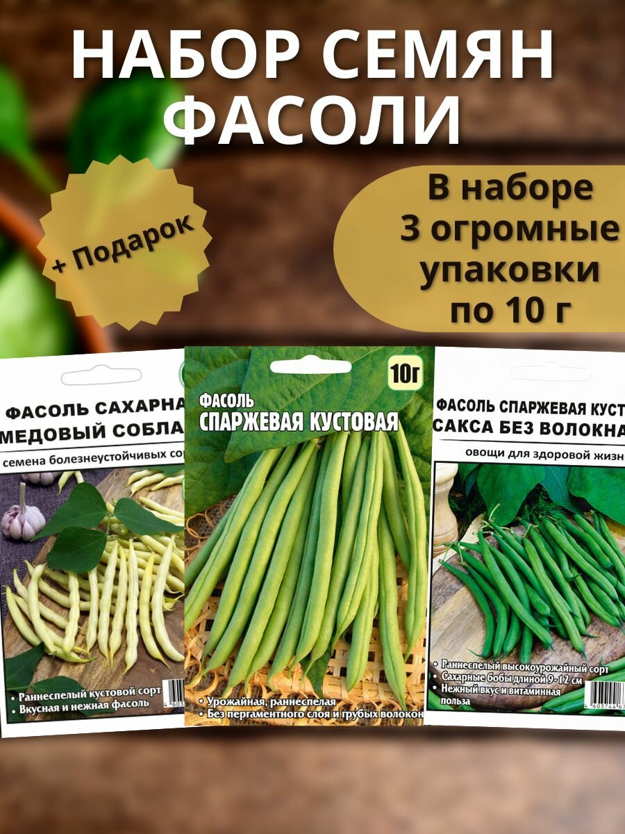 Семена фасоли спаржевой кустовой Сакса без волокна семена фасоли спаржевая фасоль фасоль кустовая