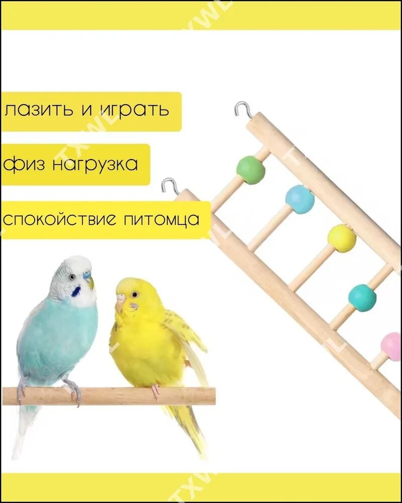Игрушка для животных