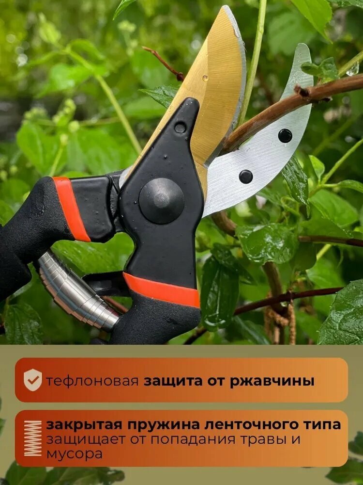 Mr.Logo Секатор — фото 1