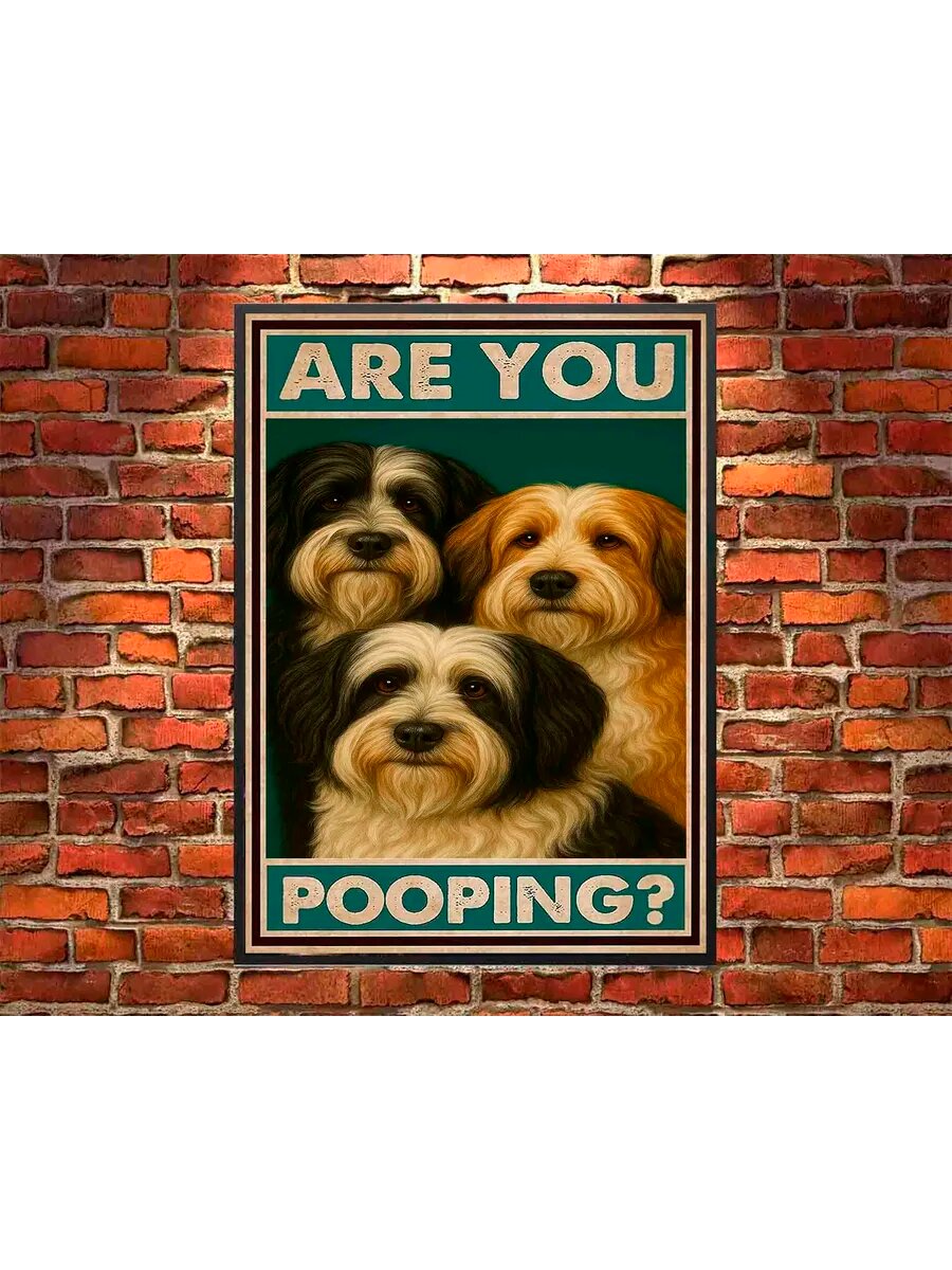Собака породы тибетский терьер, Are You Pooping, Плакат 30x4