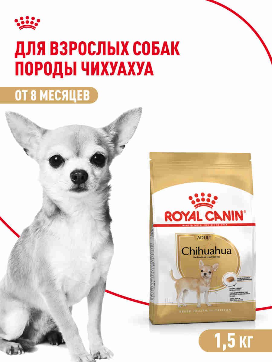 Сухой корм для собак Royal Canin для породы чихуахуа, 1,5 кг