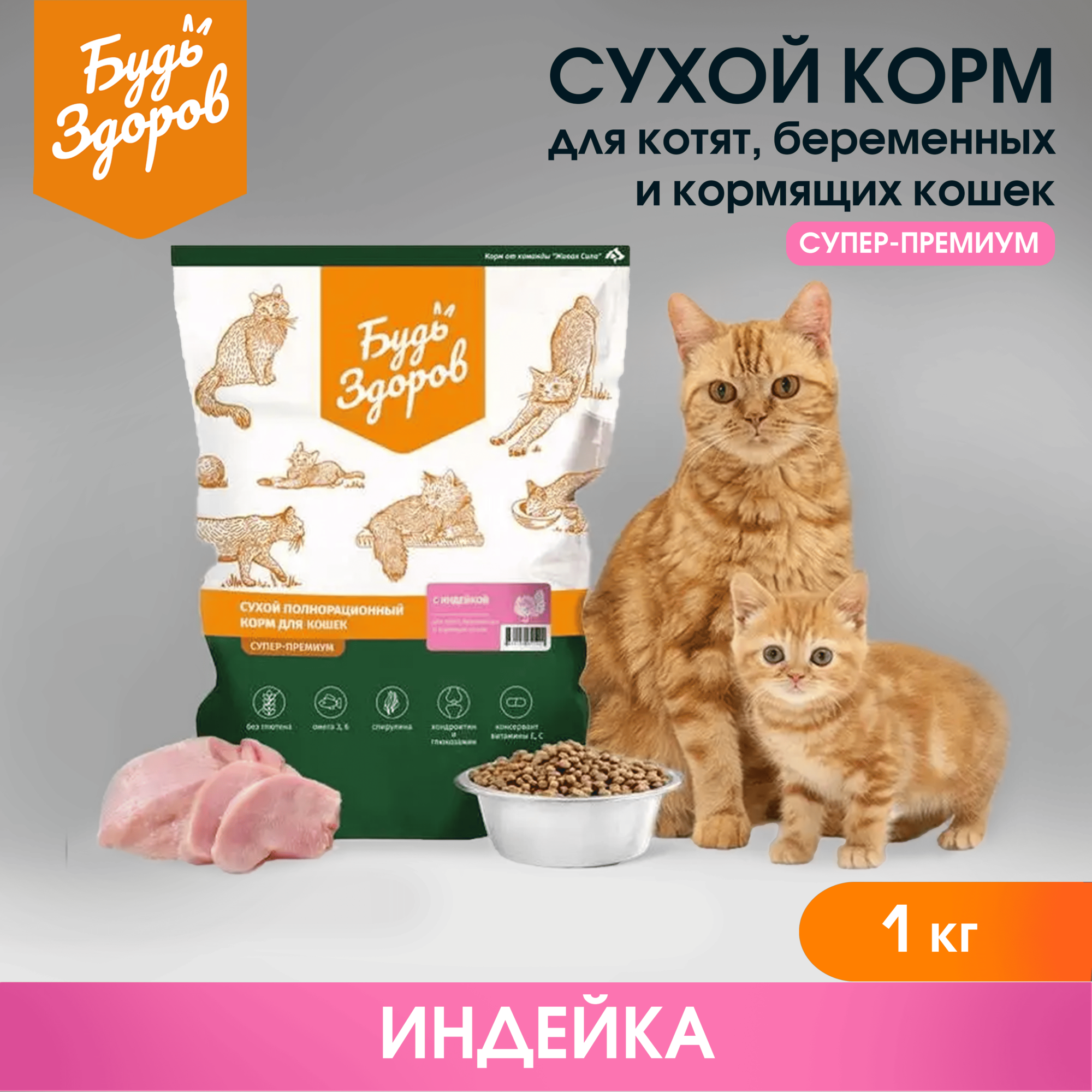 Сухой корм Будь Здоров для котят, беременных и кормящих кошек с индейкой, 1 кг