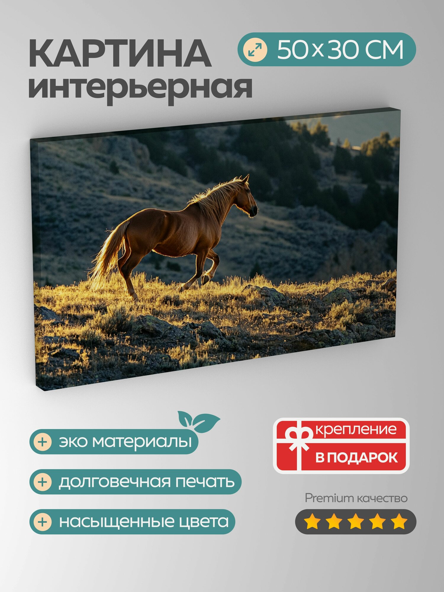 Картина на холсте интерьерная 50х30 см, лошадь, горный перевал, солнце, шерсть, контраст, Canon EF 70-200mm, разрешение