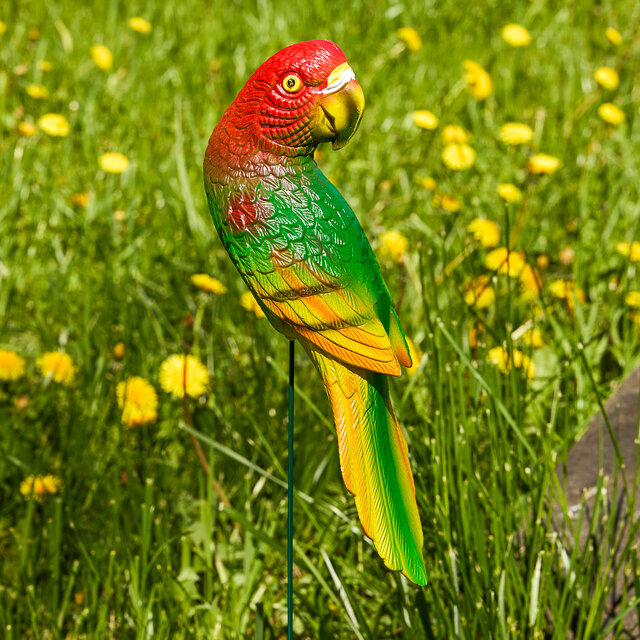 Садовый штекер Попугай Виола - Радуга Эмоций 74 см, Kaemingk, 808824-2