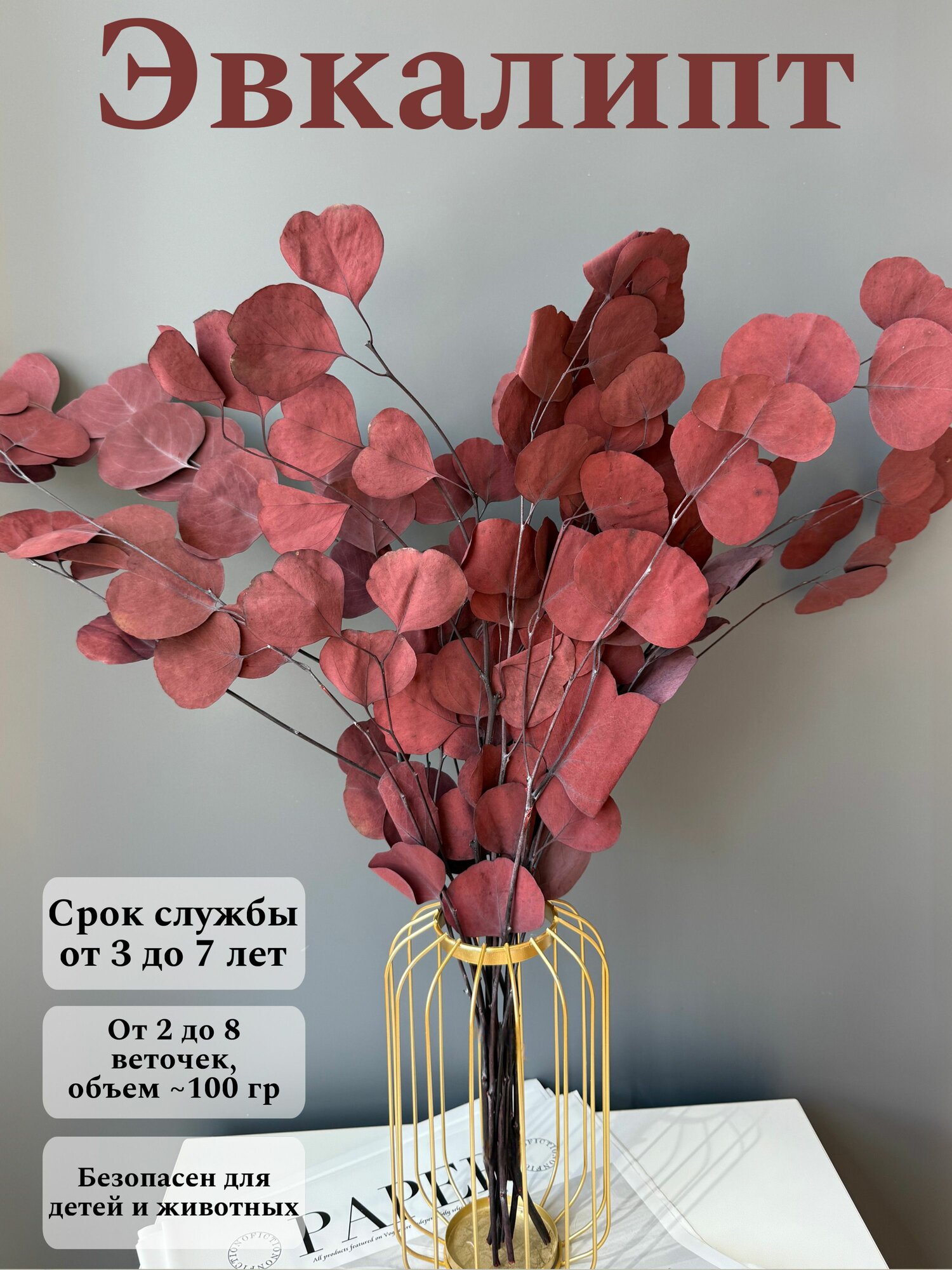 Эвкалипт стабилизированный натуральный сухоцвет для декора