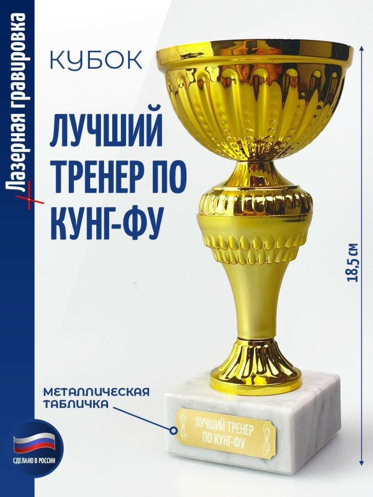 Кубок "Лучший тренер по кунг-фу" (18,4 см)