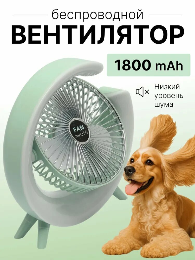 Настольный вентилятор Вентилятор-ночник настольный бесшумный, светло-зеленый