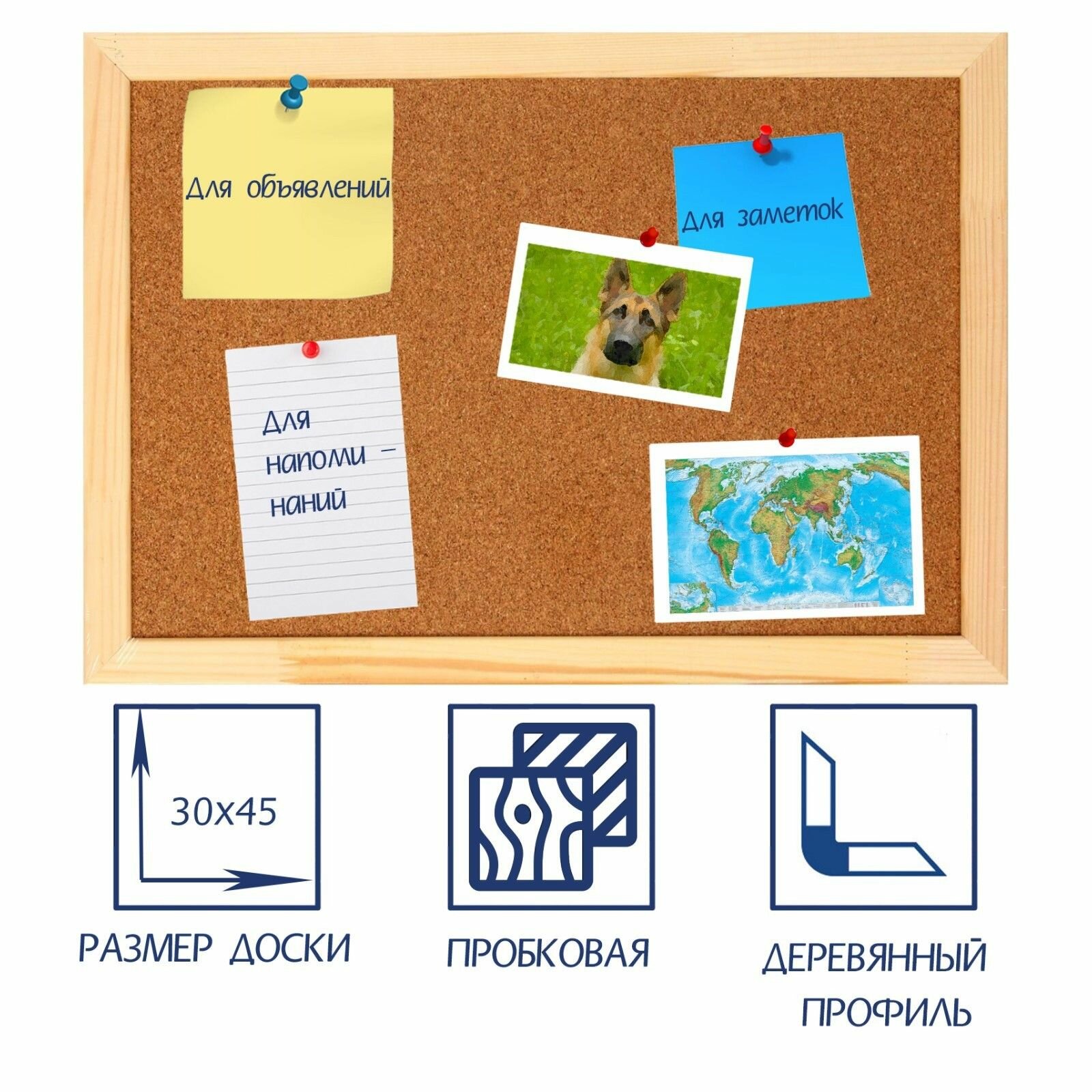 Доска пробковая А3, 30*45 см, Calligrata, в деревянной раме