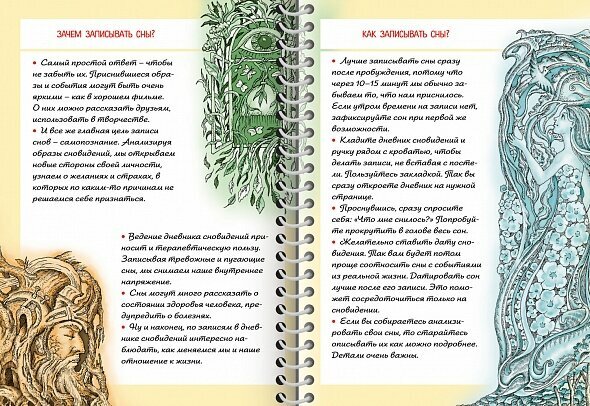 _Блокнот(Хатбер) Дневник моих сновидений "Звездопад" (на спирали) [64Кц5гр_28529]