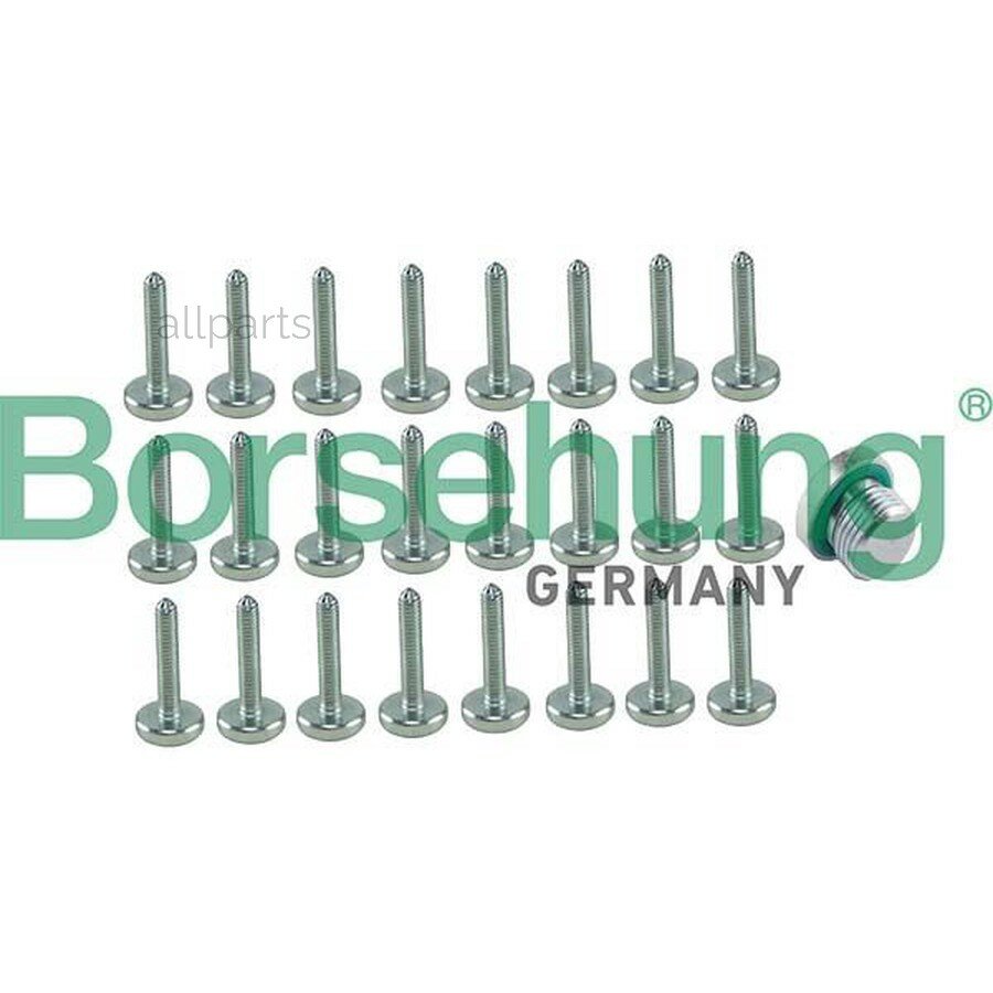 BORSEHUNG B12749 Комплект болтов для масляного поддона трансмиссии 24+1