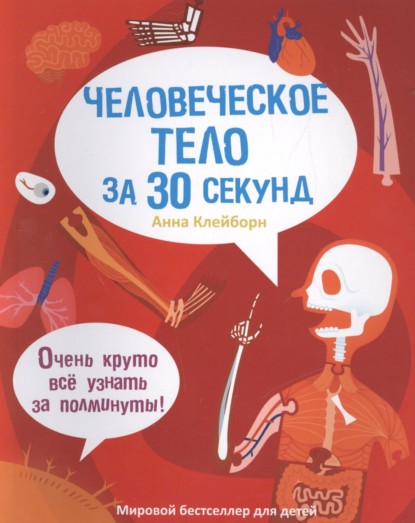 30 секунд. Человеческое тело за 30 секунд
