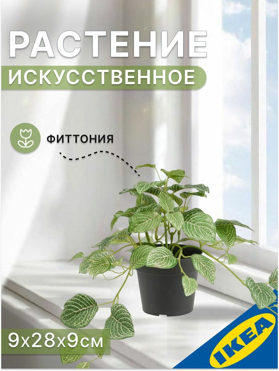 Искусственное растение в горшке Фиттония 9х28х9 см подвесное зелёный IKEA FEJKA фейка