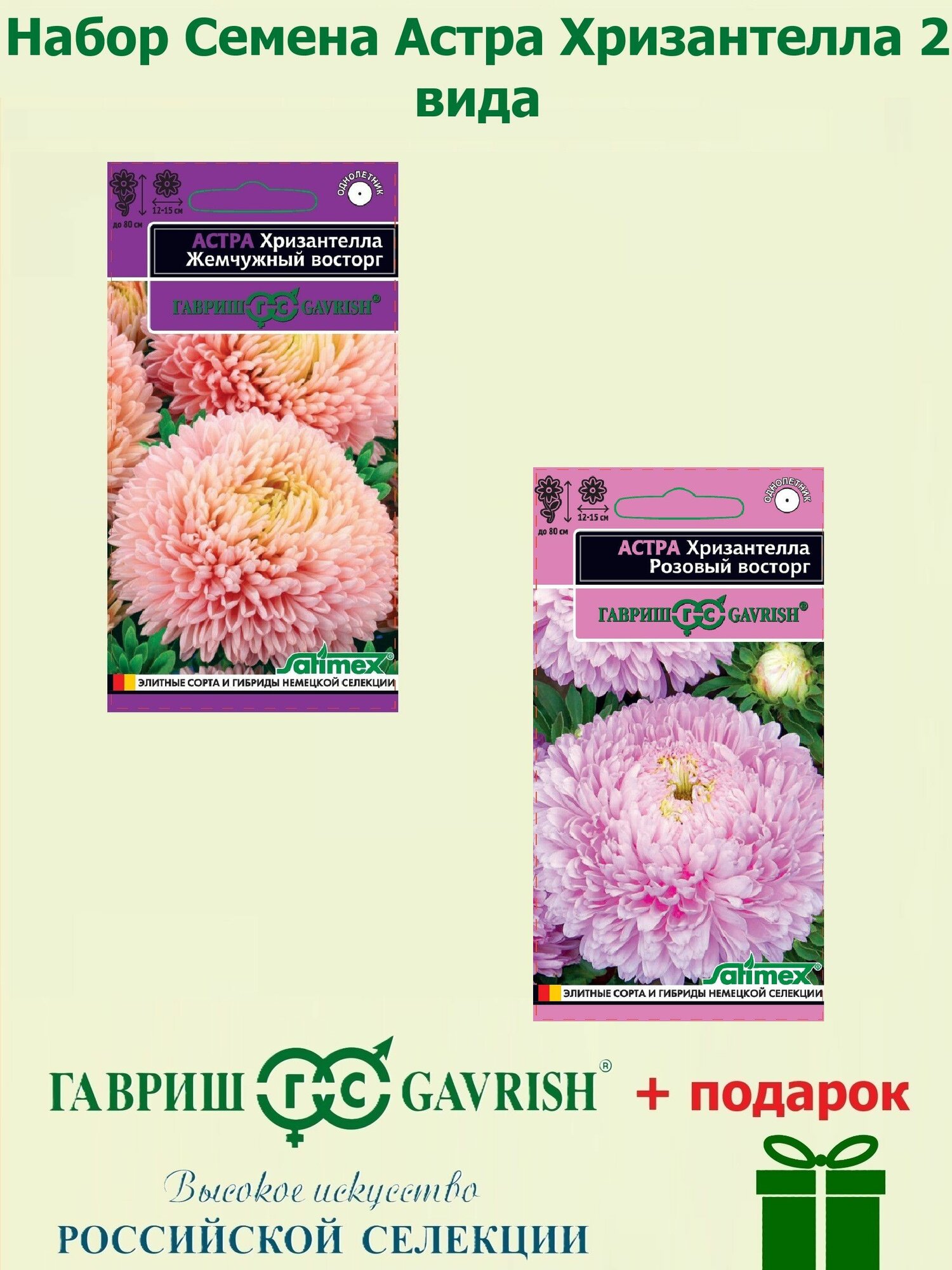 Набор семян Астра Хризантелла 2 вида, Комплект 2
