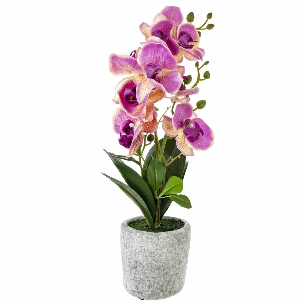 Цветочная композиция Орхидея, 16х16х45 см KSM-818228
