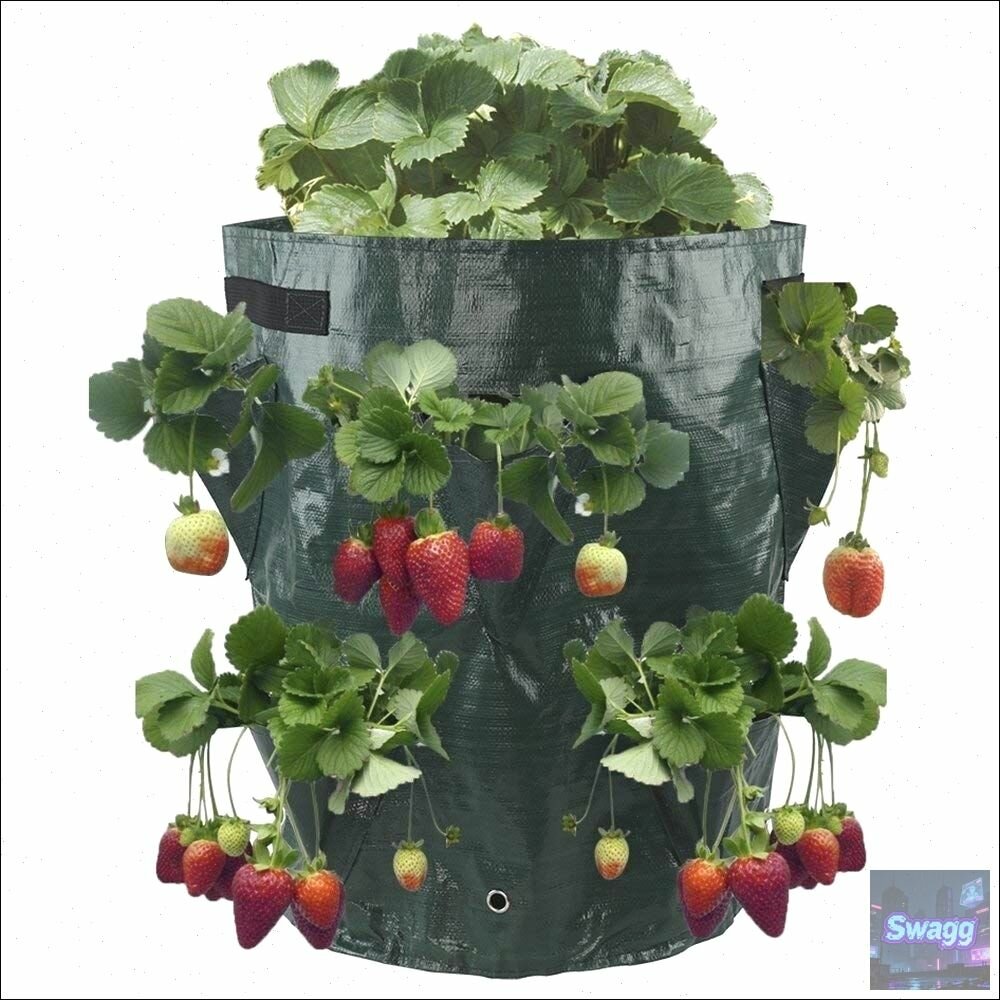 Растительный горшок-мешок 35x35 см напольный подвесной полиэтиленовый темно-зеленый