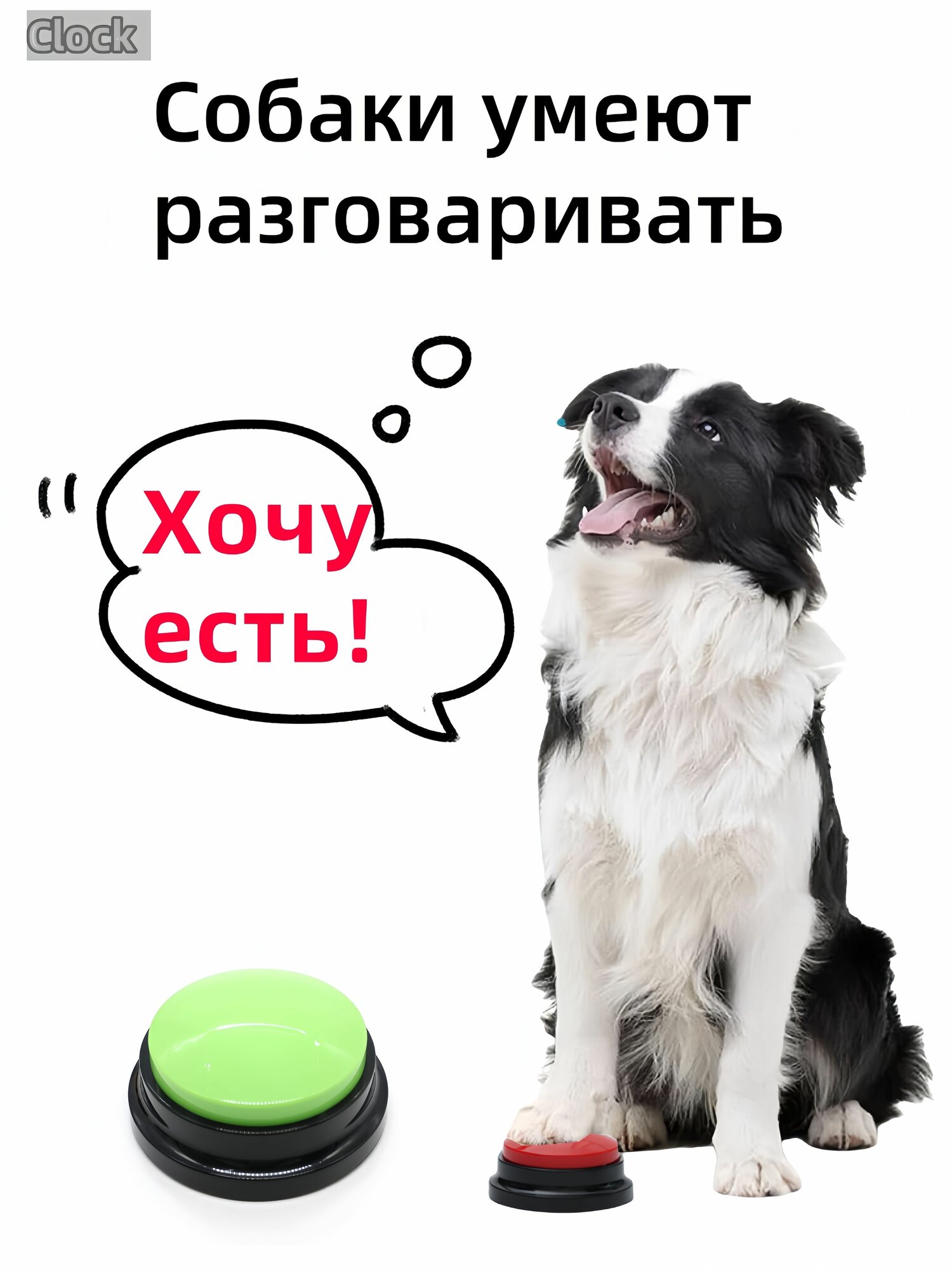 Голосовая кнопка для собак Хочу кушать обучающий кликер с записью голоса, идеален для дрессировки