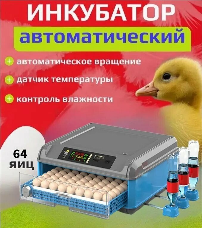 Автоматический инкубатор для яиц с контролем температуры