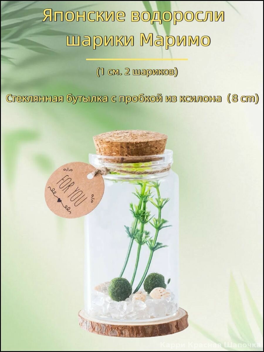 Японские водоросли / экосистемы HEIS / шарики Марио (1 см/2 шариков)