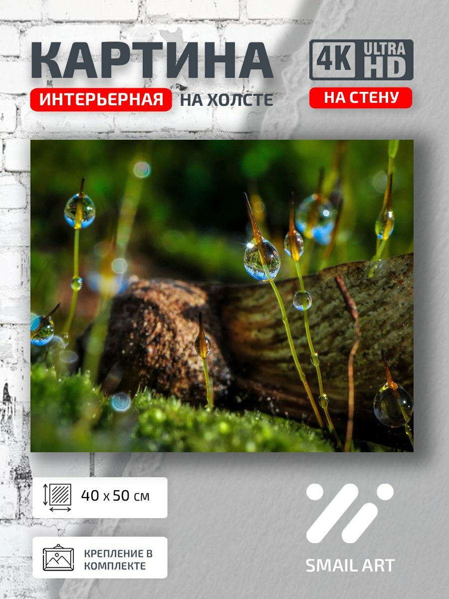 Картина на холсте интерьерная 40 на 50 на стену Капли macro для офиса пейзаж интерьер декор