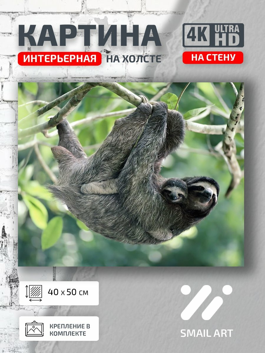 Картина на холсте интерьерная 40 на 50 на стену Детёнышем Mood для гостиной атмосфера декор