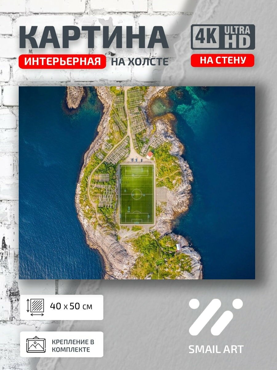 Картина на холсте интерьерная 40 на 50 на стену стадиона Хеннингсвер для студии атмосфера