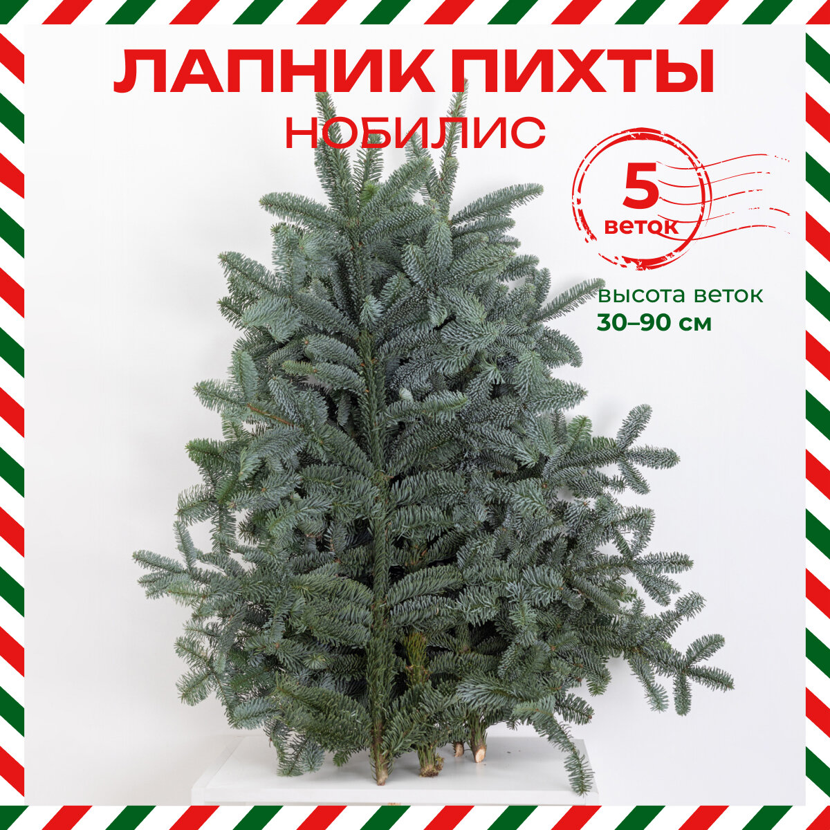 Лапник хвойный Нобилис 5 веток, высота 30-90 см, новогодний декор