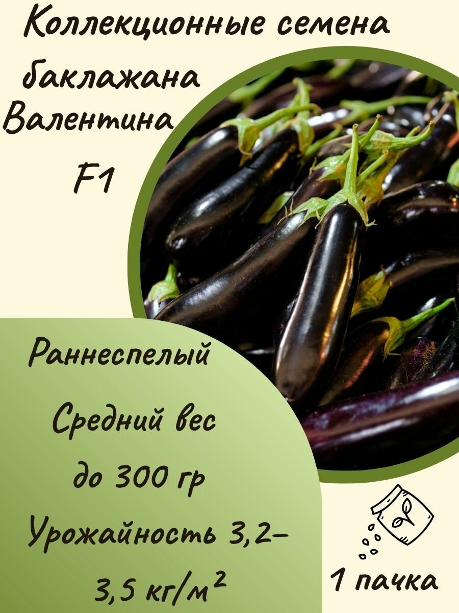 Коллекционные семена баклажана Валентина F1, 10 шт. семян