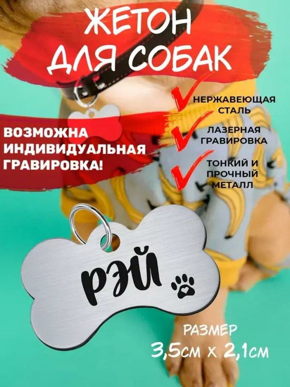 Адресник для собаки с гравировкой, нерж. сталь, серебристый, Рэй
