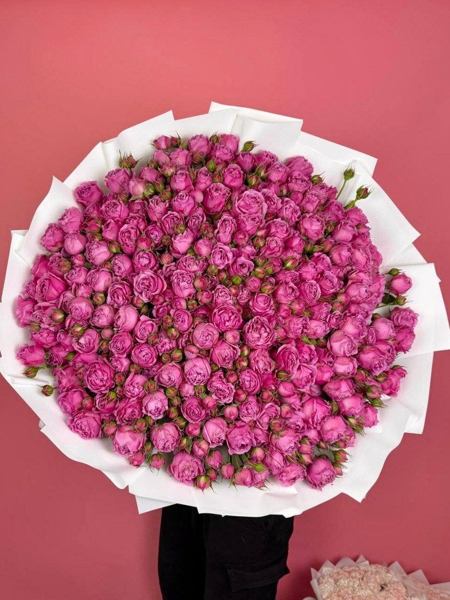 Большой букет из малиновых кустовых пионовидных роз Мисти Баблс