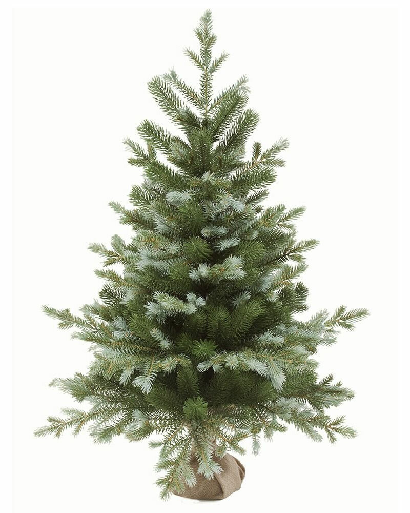 Настольная ель камчатская премиум, 90 см, зелёная с инеем, хвоя 100% литая, царь елка КМЧ/ПР-90