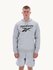 Джемпер Reebok Vicnjr Big Logo Pullover Hoody, размер M INT, серый